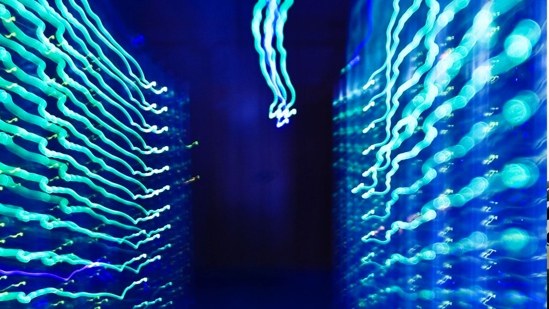 Oracle e CERN openlab, rinnovata la partnership all’insegna del cloud ...